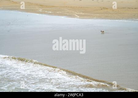 Spectacular Tullan Strand, one of Donegal's renowned surf beaches ...
