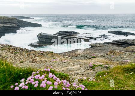 Aerial view of spectacular Kilkee Cliffs, situated at the Loop Head ...