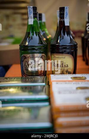Coca and Mató (cake and fresh cheese) Festival from Monistrol de ...