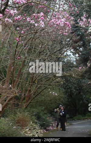 San Francisco, United States. 16th Apr, 2025. "California" a mural by ...