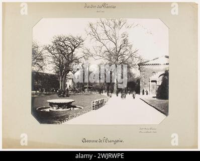 CHARDON (Madam). Jardin des Plantes / August 1907 / A corner of the ...