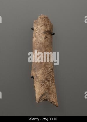 Shang dynasty bone, Carved with ancient mythic beast, Echoes of lost ...