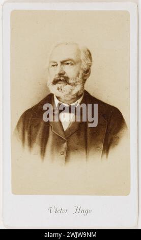 Victor Hugo (1802-1885). Photography by Etienne Carjat, 1873. Paris, house of Victor Hugo ...