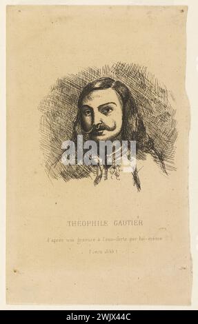 The 'Portrait de Théophile Gautier' is a notable painting of the French ...