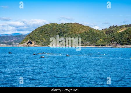 Large scale aquaculture and fish farming along coast of Japan Stock ...