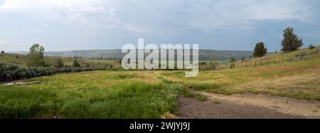 USA, Oregon, Wasco, Scenic fields Stock Photo - Alamy