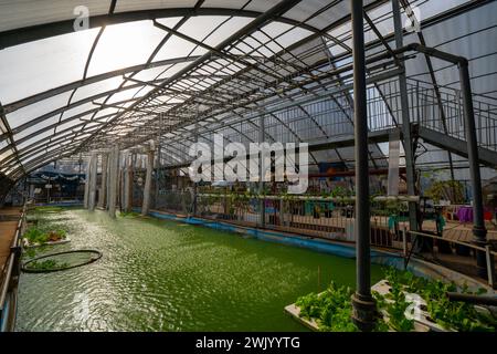 Hydro solar pool for growing vegetables Hydroponics is a type of ...