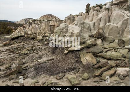 Grotesque shapes in eroded clay of the Wasatch Formation near Corcoran ...
