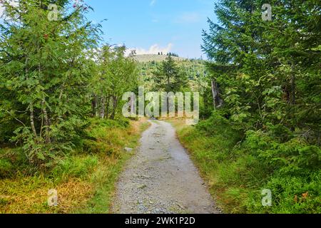 Hiking trail to Mount Lusen in late summer, Bavarian Forest, Bavaria ...