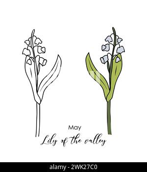 Lily of The Valley May birth month flower drawing Stock Vector Image ...