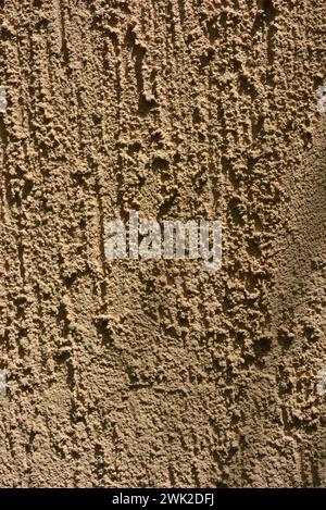 Dry grey mud plaster wall background texture. Empty soil ground ...