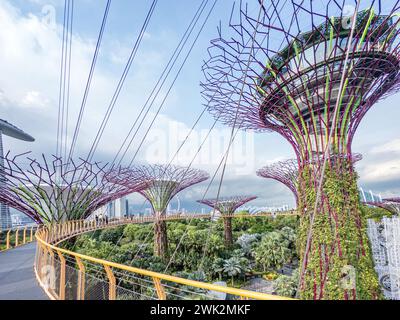 Solar Trees in the Gardens by the bay in Singapore. The Solar trees in ...