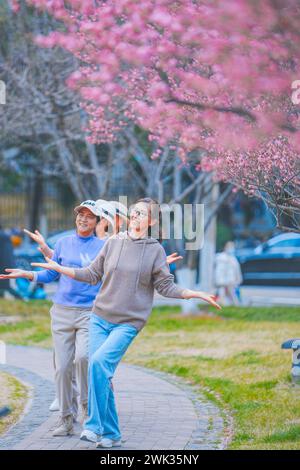 Red plum blossoms bloom in Shancao Village, Jinhua City, east China's ...