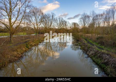 The Chelmar and Blackwater navigation near Beeleigh Lock Stock Photo ...