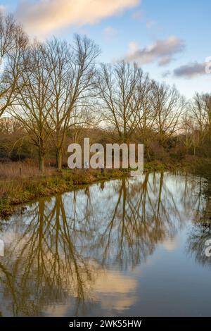 The Chelmar and Blackwater navigation near Beeleigh Lock Stock Photo ...