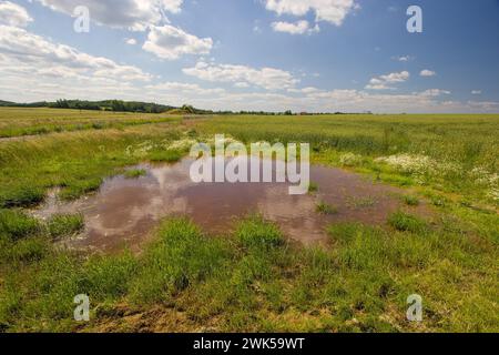 Small puddle on agricultural field and meadow with colorful trees at ...