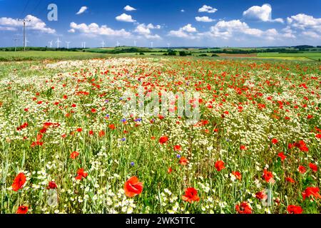 The beautiful natural landscape in the Eifel Germany. A beautiful ...