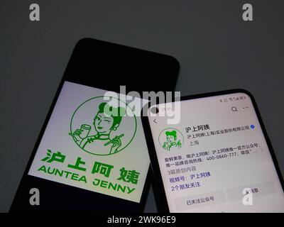 YICHANG, CHINA - FEBRUARY 19, 2024 - AUNTEA JENNY on a mobile phone is ...