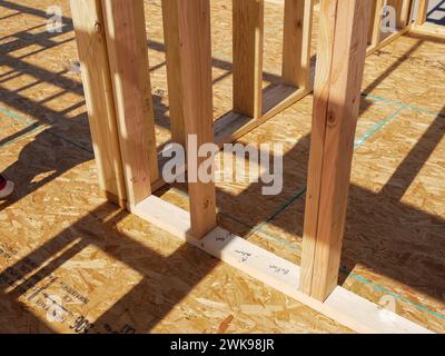 OSB sub flooring sheets cover, attach to the joists with wood screws ...