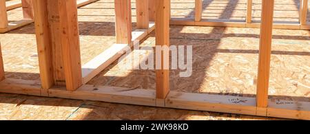 Panorama OSB sub flooring sheets cover, attach to the joists with wood ...