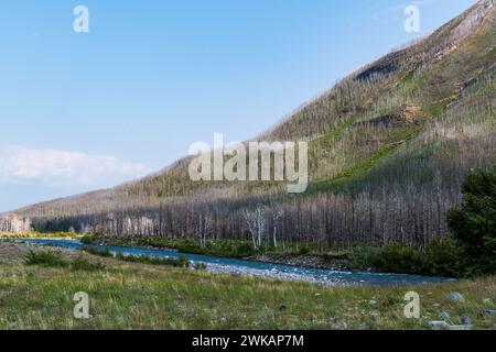 Landscape view of valley in Waterton Lakes National Park, Alberta, AB ...