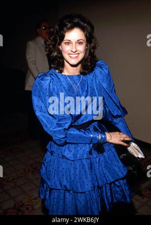 Philece Sampler Circa 1980's Credit: Ralph Dominguez/MediaPunch Stock ...