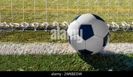 Striped professional soccer stadium turf photographed , high resolution ...