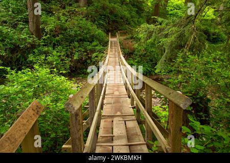 Oregon Coast Trail bridge, Oswald West State Park, Oregon Stock Photo ...