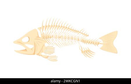 Cartoon fish skeleton, stripped of flesh. Isolated vector delicate and ...