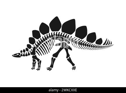 Stegosaurus bones and skull. Stegosaurus skeleton. Prehistoric animal ...