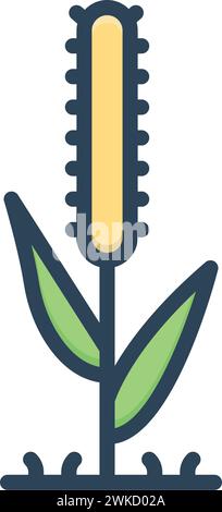 Icon for timothy,grass Stock Vector Image & Art - Alamy