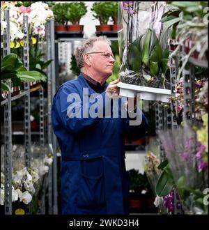 Flower auction Plantion in the East of the Netherlands where plants and ...