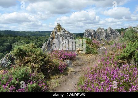 The Liscuis moor in Brittany Stock Photo - Alamy