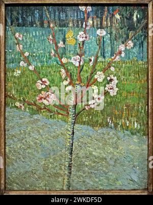 Peach Tree in Blossom (1888) by Vincent van Gogh (1853-1890 Stock Photo ...