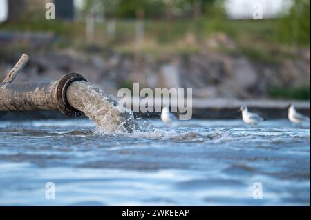 Beach restoration using a sand transfer system in Engure, Latvia Stock ...