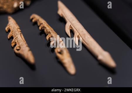 single-row bone harpoons,magdalenian period, Museum of prehistory and ...