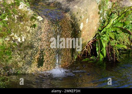 Water running over boulders into a pond Stock Photo - Alamy