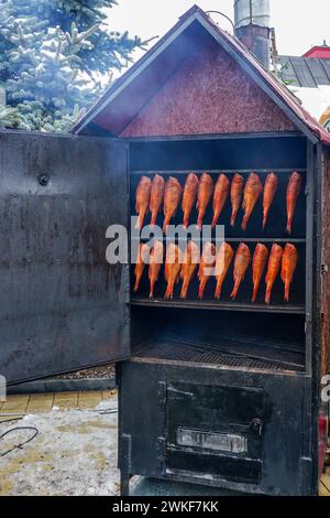 Smoking sea bass fish in smokehouse box-smoked fish production concept ...
