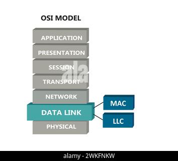 Data link sub layers, OSI model, vector Stock Vector Image & Art - Alamy