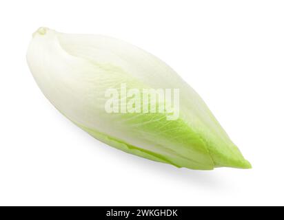 One raw ripe chicory isolated on white Stock Photo - Alamy