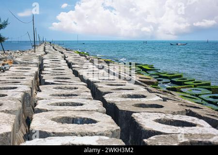 The breakwater covered with green moss stretches out to the sea in Tam ...