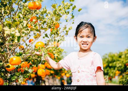 A smiling kid eagerly reaches for an orange in a lush orange tree ...
