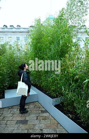 Using over 300 locally sourced bamboos, the 15-metre-long installation ...