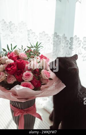 Cat sniffing rose Stock Photo - Alamy