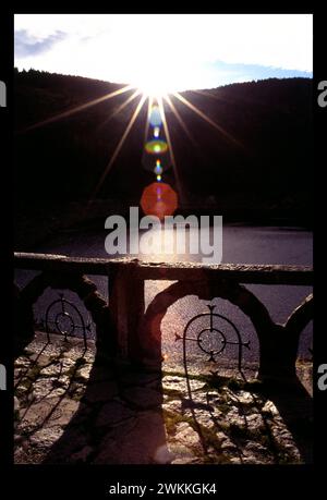 the black lake in the Vosges Lac Noir, Colmar in France Stock Photo - Alamy