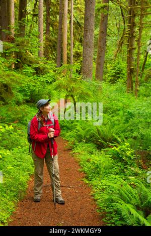 Shellburg Falls Trail, Santiam State Forest, Oregon Stock Photo - Alamy