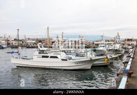 Fishing boats at Numaza Port in Numazu City in Shizuoka Prefecture ...