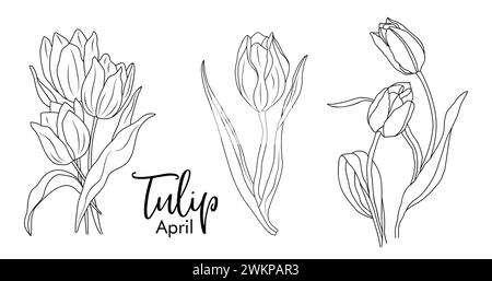 Tulip April birth month flower outline drawing Stock Vector Image & Art ...