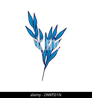 Vector Eucalyptus leaves branch. Black and white engraved ink art ...