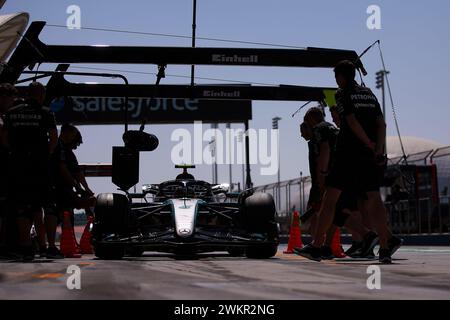 Sakhir, Bahrain, 22/02/2024, HAMILTON Lewis (gbr), Mercedes AMG F1 Team ...